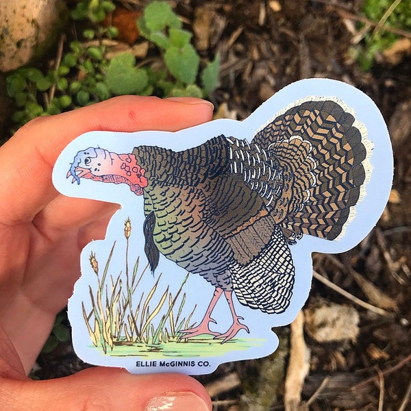 Turkey Sticker - Etsy