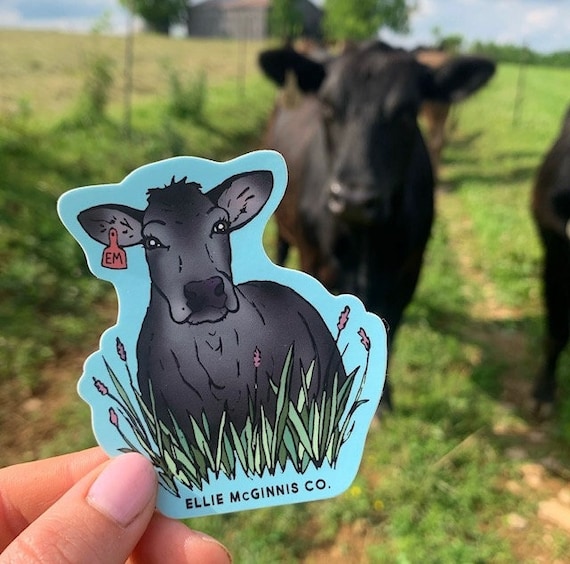 Black Angus Heifer Calf Cute Cow Cattle Vinyl Sticker Ellie - Etsy