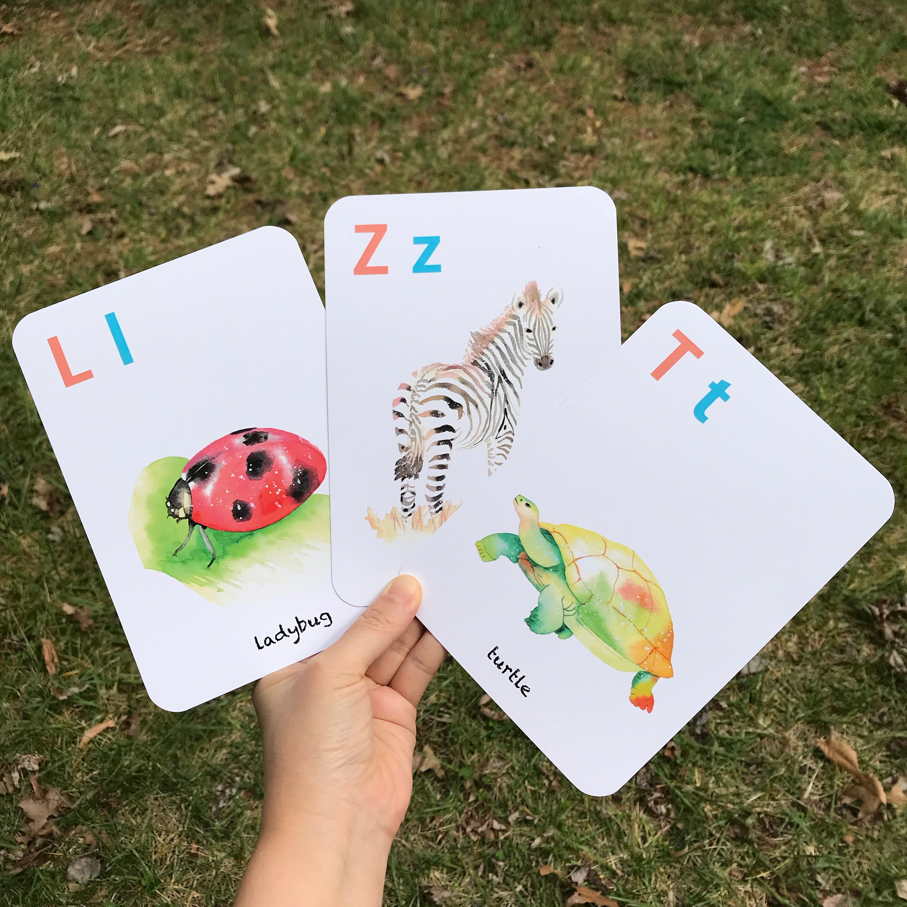 Animal Alphabet Flash Cards ABC Nursery Wall Art Watercolor - Etsy ...