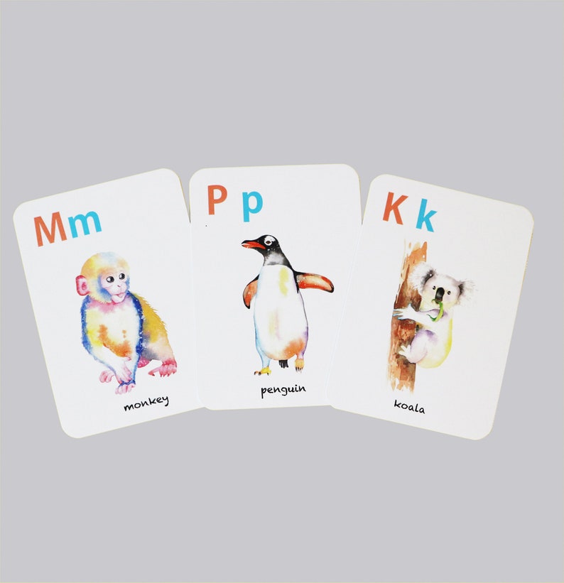 Animal Alphabet Flash Cards ABC Nursery Wall Art Watercolor - Etsy ...