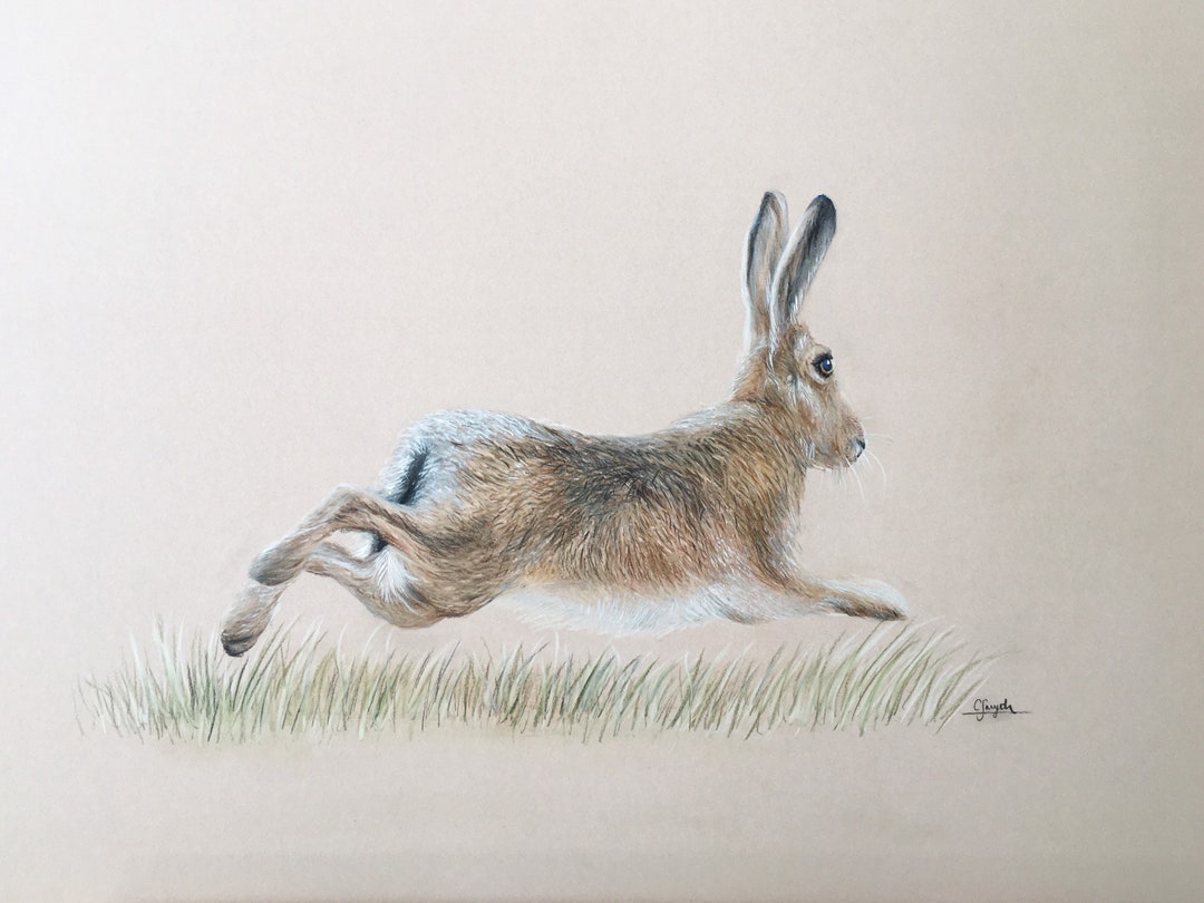 Fine Art Print of Sprinting Hare, British Wildlife, Pastel, Hares ...