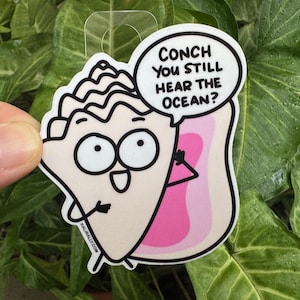 Funny Florida Sticker Pack Conch Shell Collector Souvenir Funny Vinyl ...