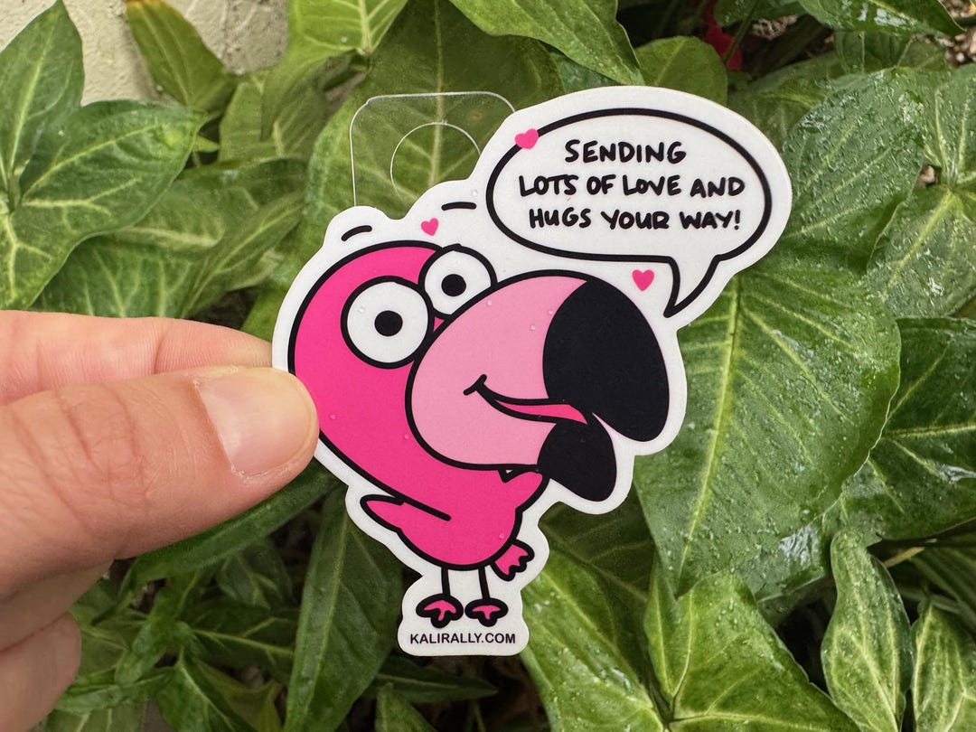 Sending Hugs From Florida Vinyl Sticker Flamingo Sticker Someone in ...