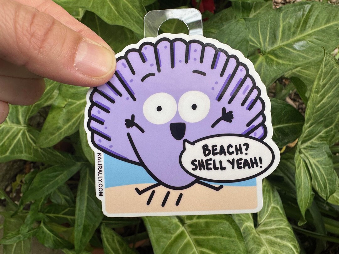 Funny Florida Sticker Pack Shell Collector Souvenir Funny Vinyl Decal ...