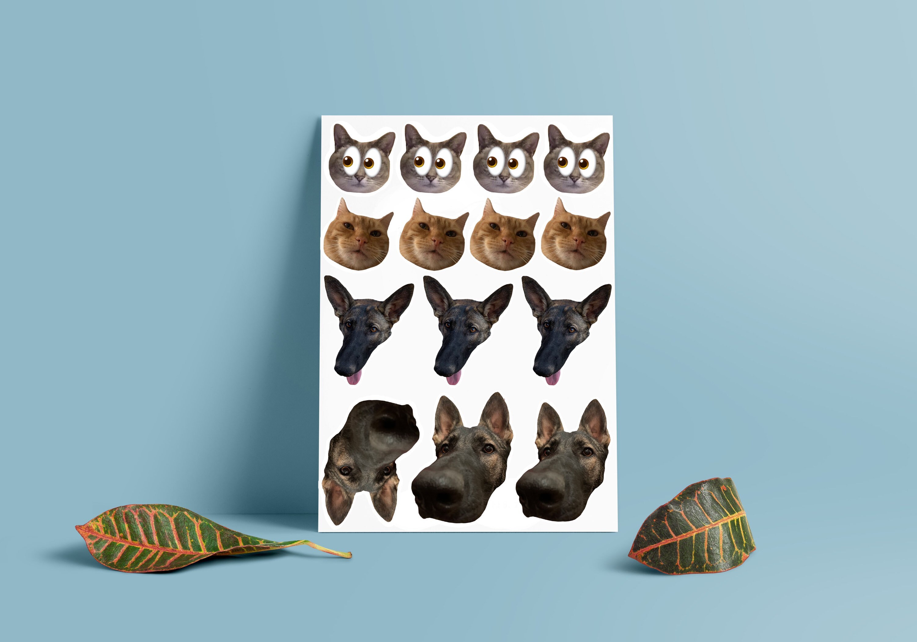 Sheet of Personalised Pet Stickers - Etsy New Zealand