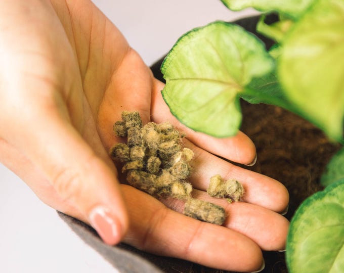 Wool Fertilizer Pellets - Etsy