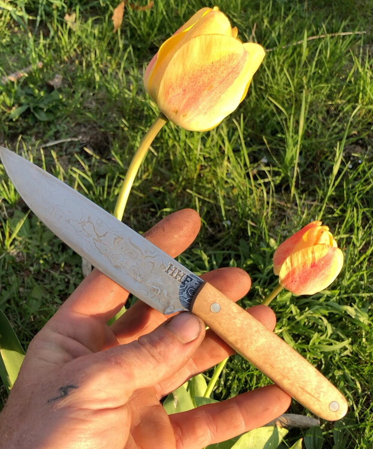 Hand Forged Damascus Knife - Etsy