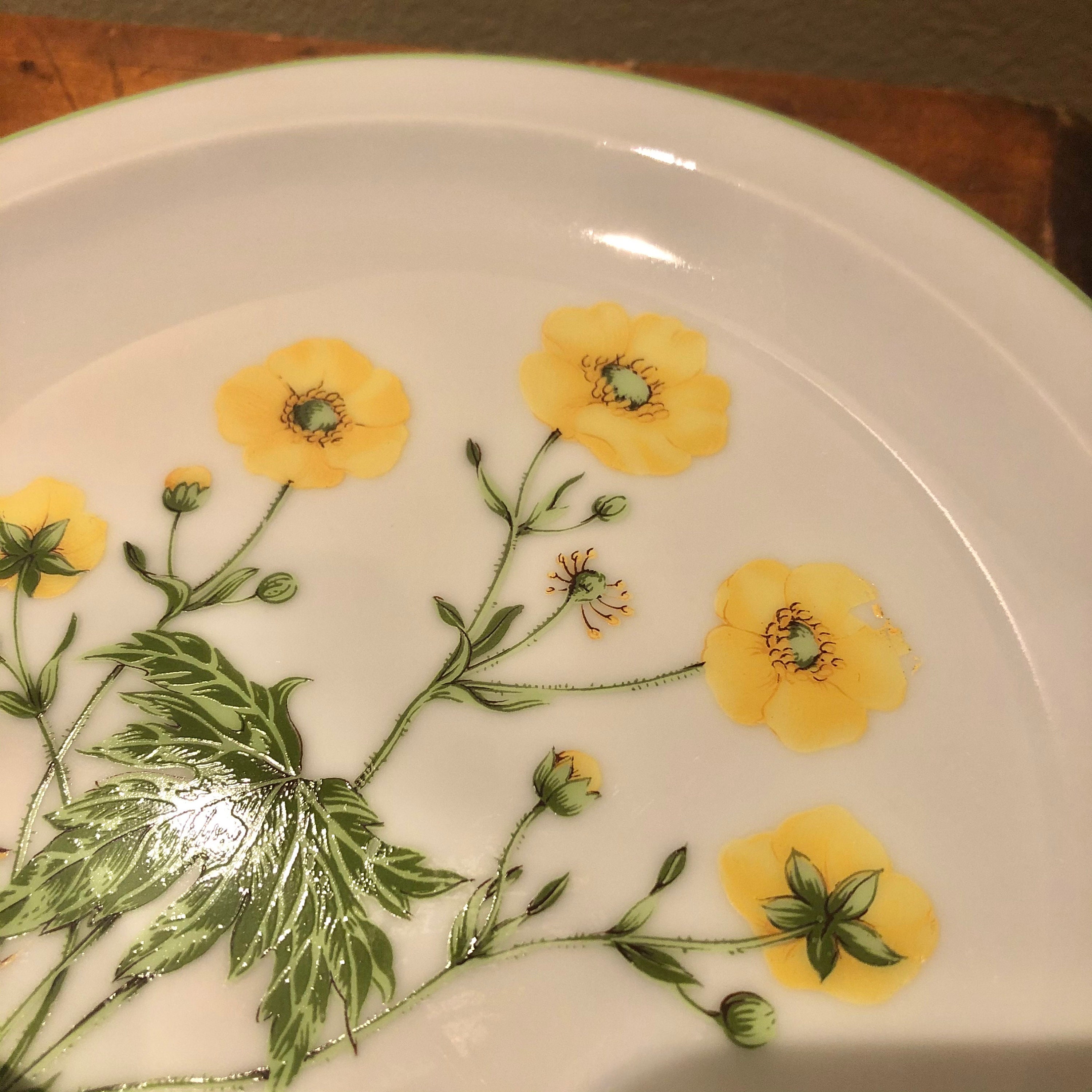 Vintage Sunrise Royal Domino Collection Tea Cup and Plates - Etsy