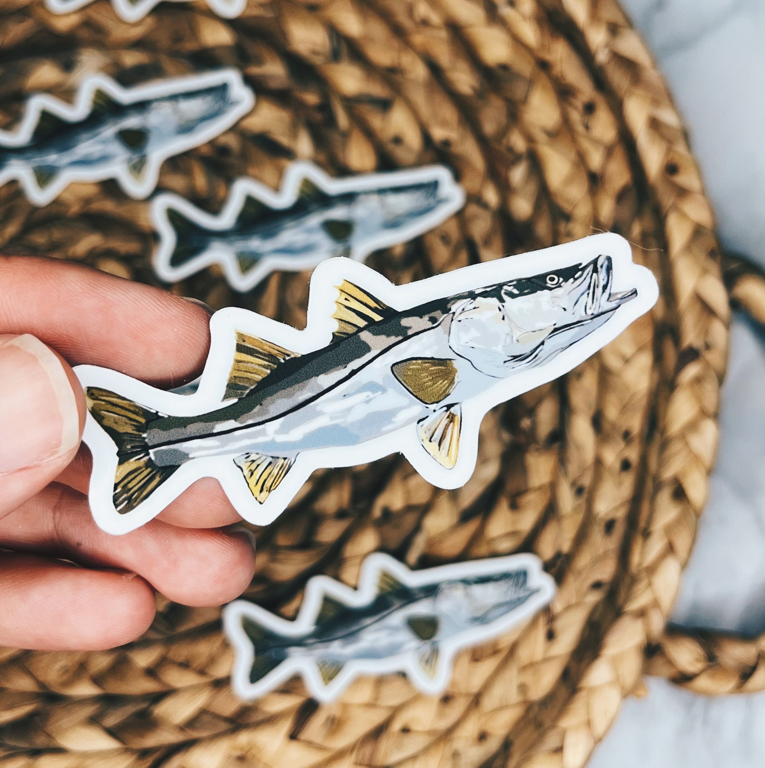 Snook Sticker, Marco Island Sticker, Marco Island Gift, Florida ...