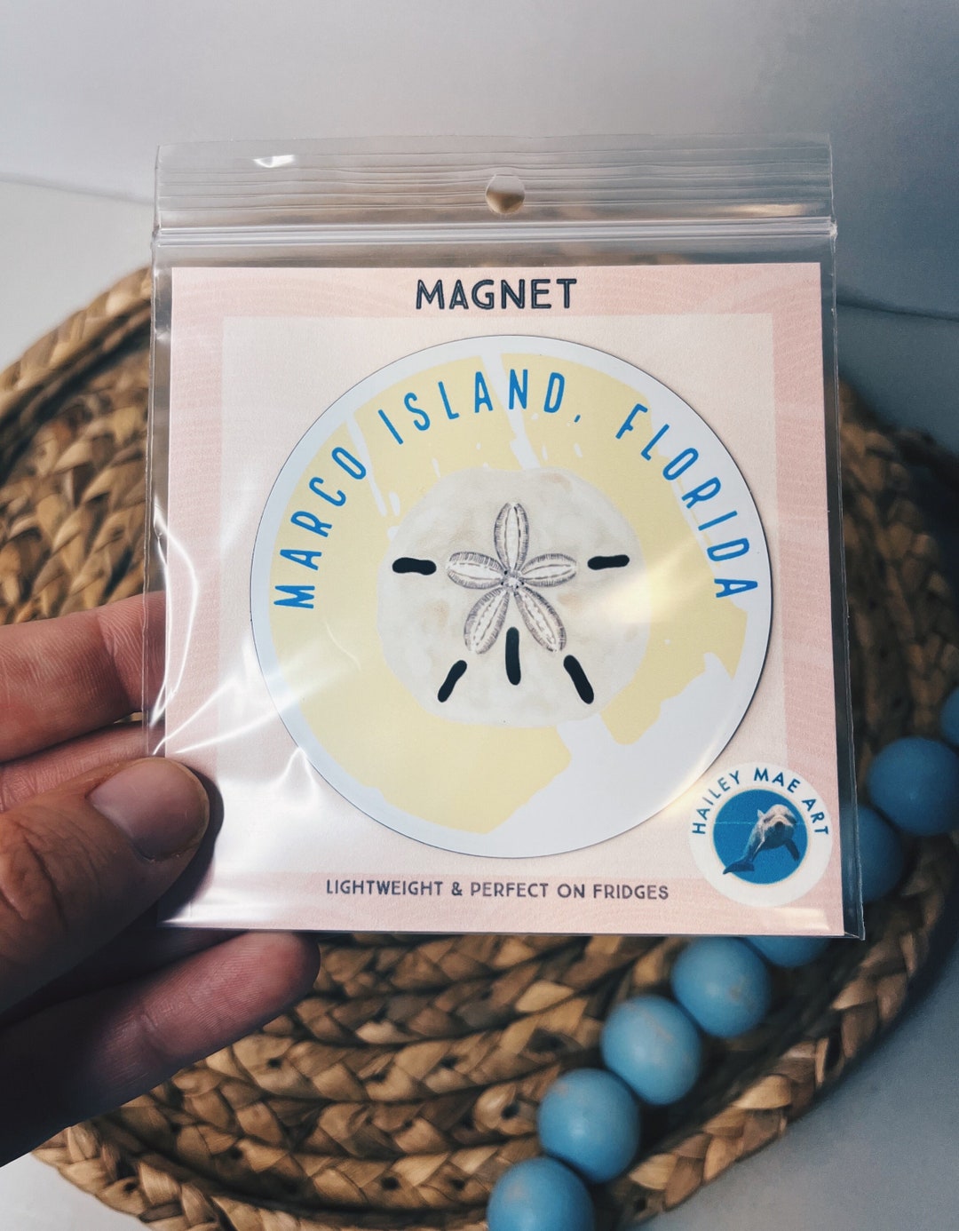 Sand Dollar Magnet, Marco Island Magnet, Dome Homes Marco Island, Marco ...