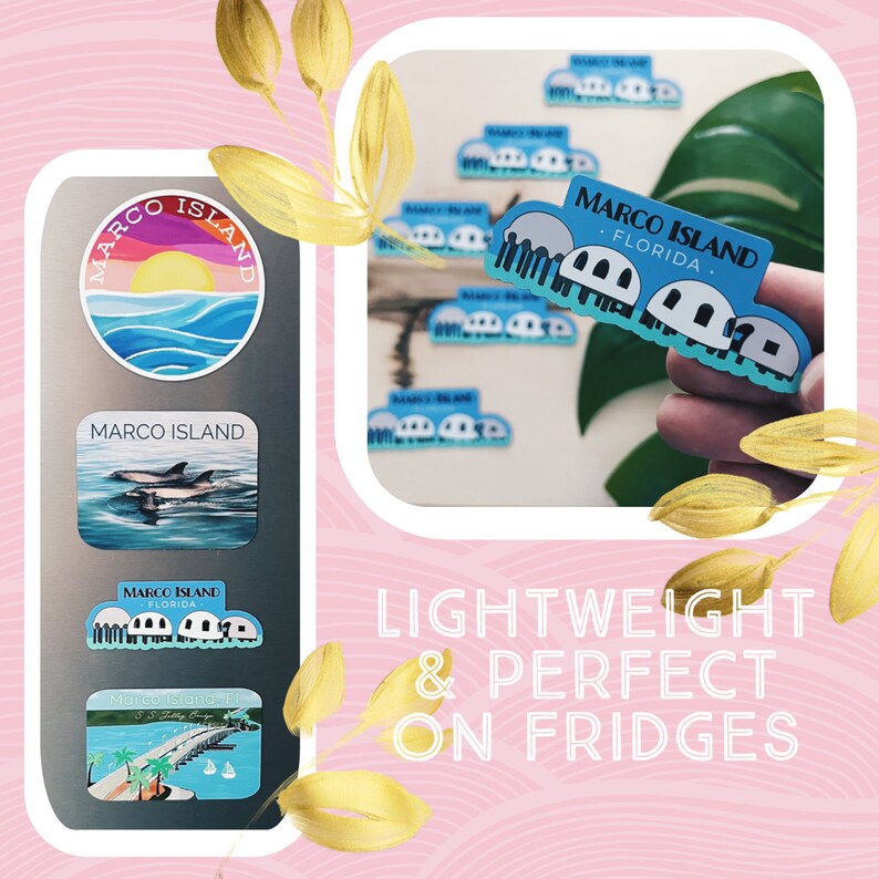 Sand Dollar Magnet, Marco Island Magnet, Dome Homes Marco Island, Marco ...