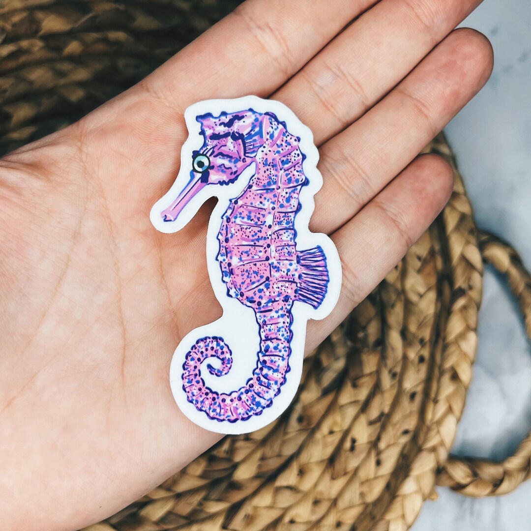 Seahorse Sticker, Marco Island Sticker, Marco Island Gift, Florida ...