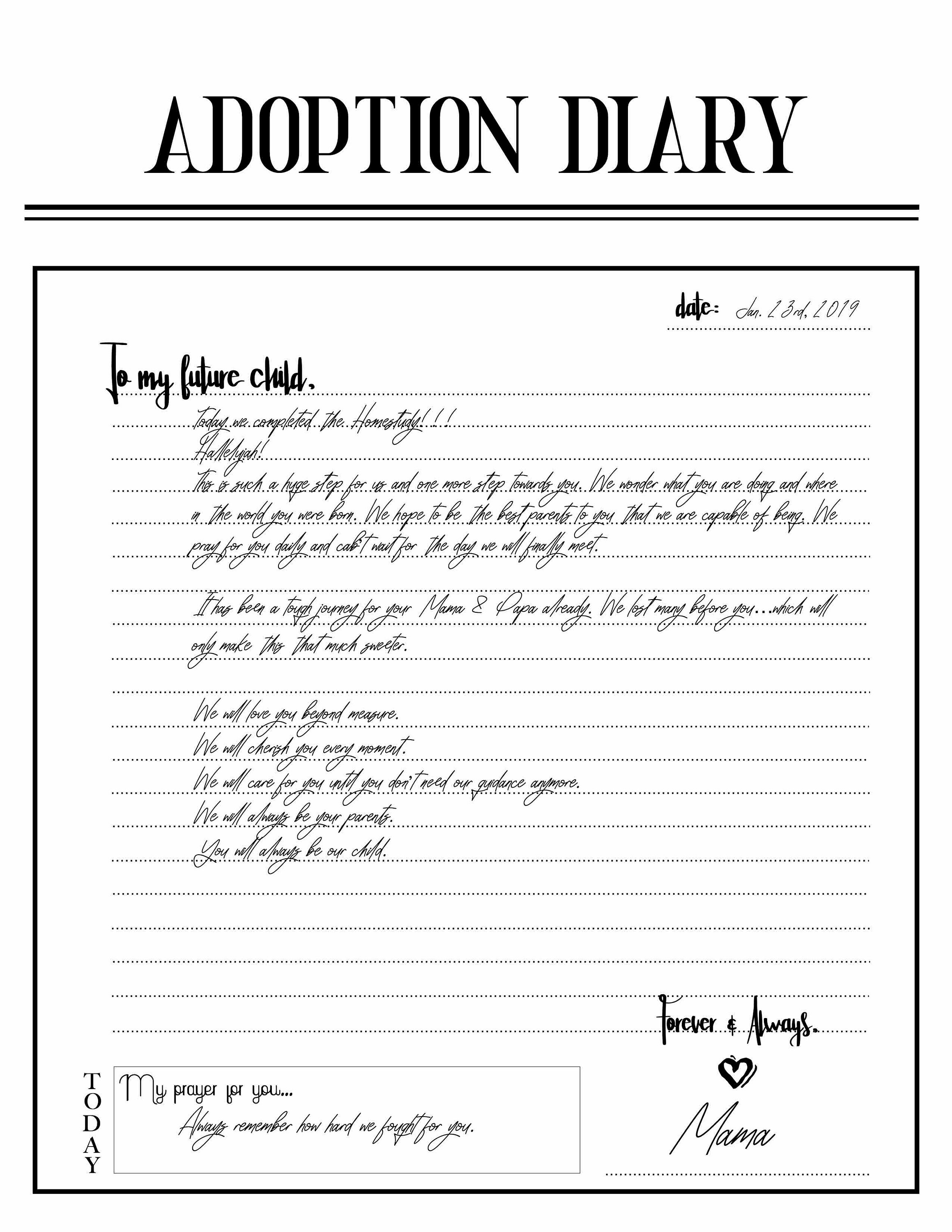 ADOPTION PLANNER ~ Printable Paper Adoption to Do List, Organizer, Mom ...