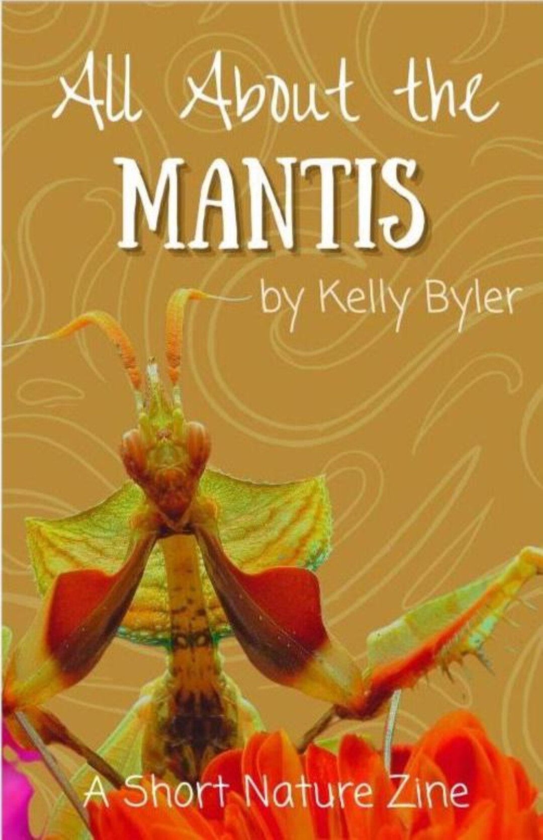 Mantis Zine, Biology Zine, Mini Science Magazine, Mantis, Entomology ...