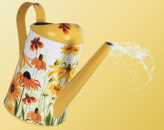 Large Watering Can Decoupage flowers and Butterfly, 1.5 Gallon Metal ...