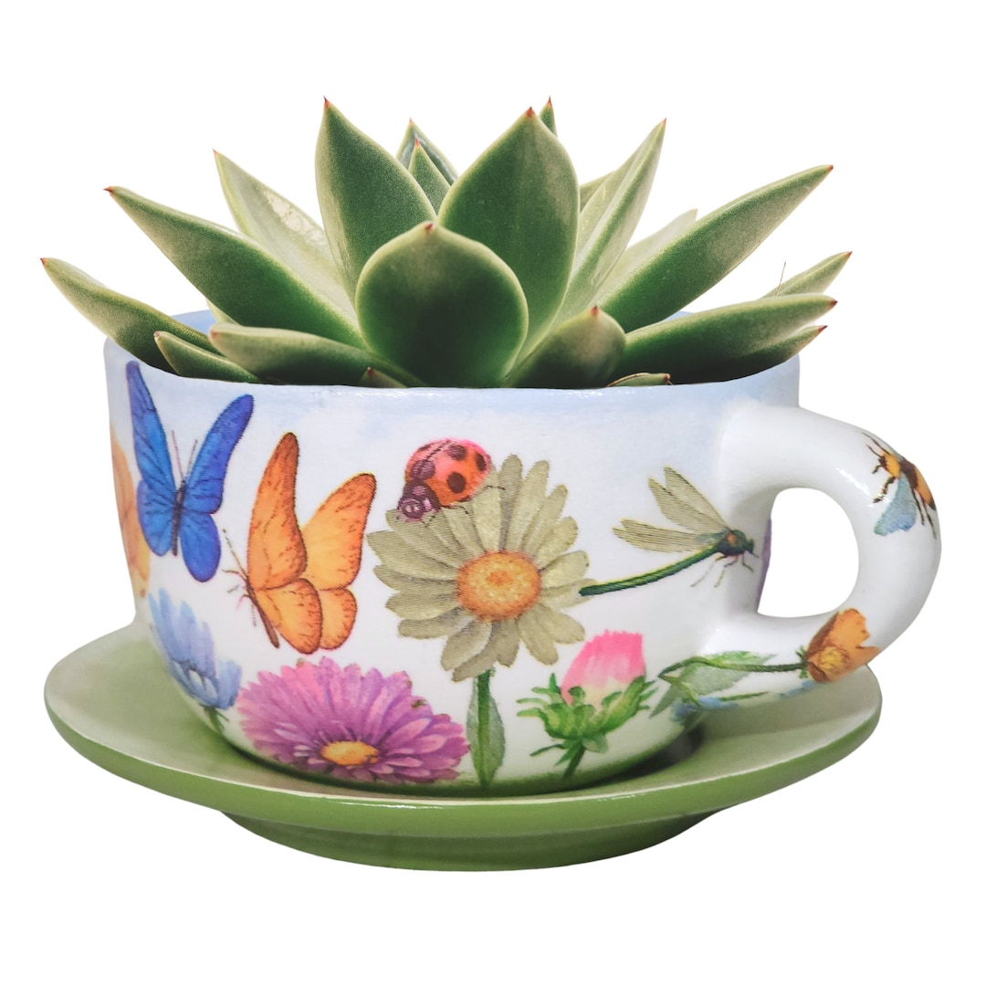POLLINATOR MEADOW Teacup Planter | Decoupaged, Painted, Sealed | 4.5 ...