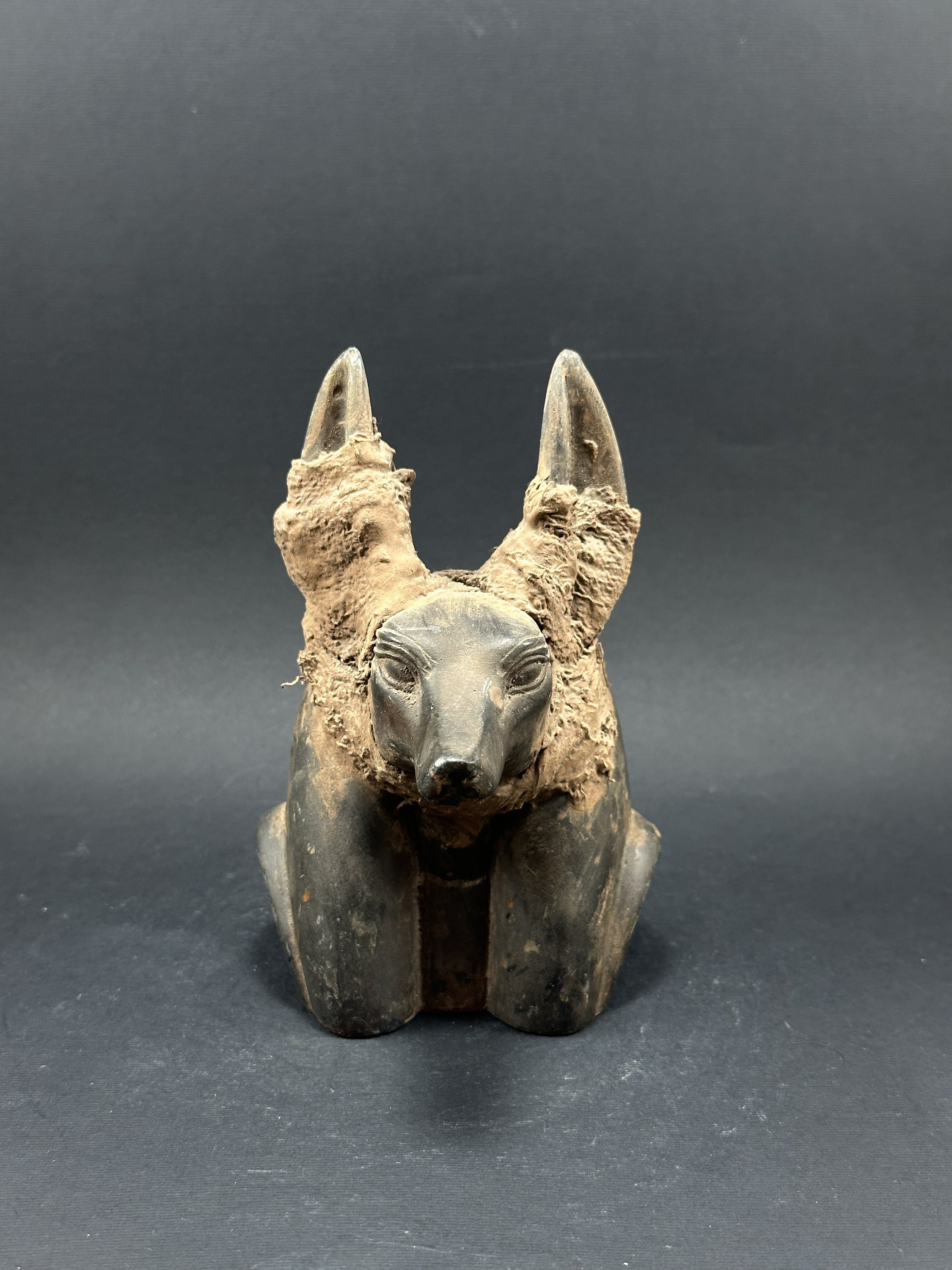 Anubis Bust Statue Unique Statue of Anubis Head Bust Anubis - Etsy