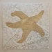 Starfish Quilt Block - Foundation Paper Pieced Digital Pattern - Etsy