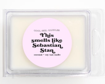 This Smells Like Sebastian Stan Candle Pop Culture Candles - Etsy