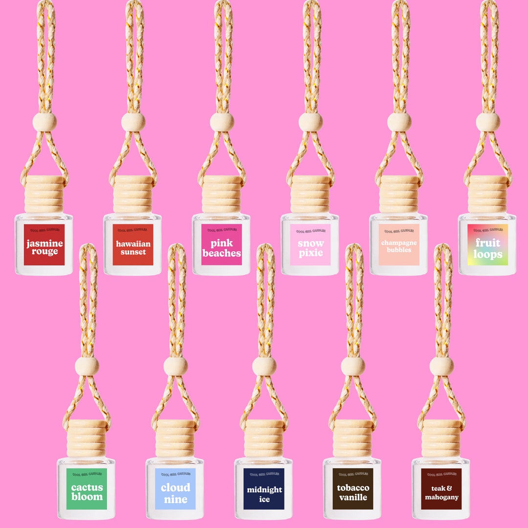 Scented Car Freshener Hanging | Car Diffuser | Cute Trendy Gift | New ...