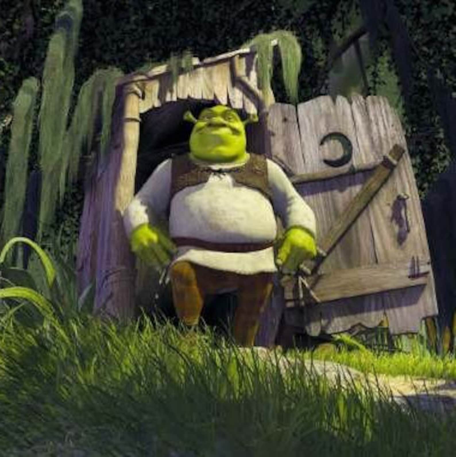 Shrek What Are You Doing in My Swamp Get Out of My - Etsy