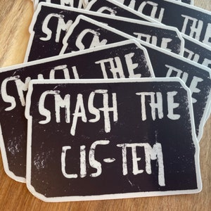 Smash the Cis-tem Vinyl Sticker - Etsy