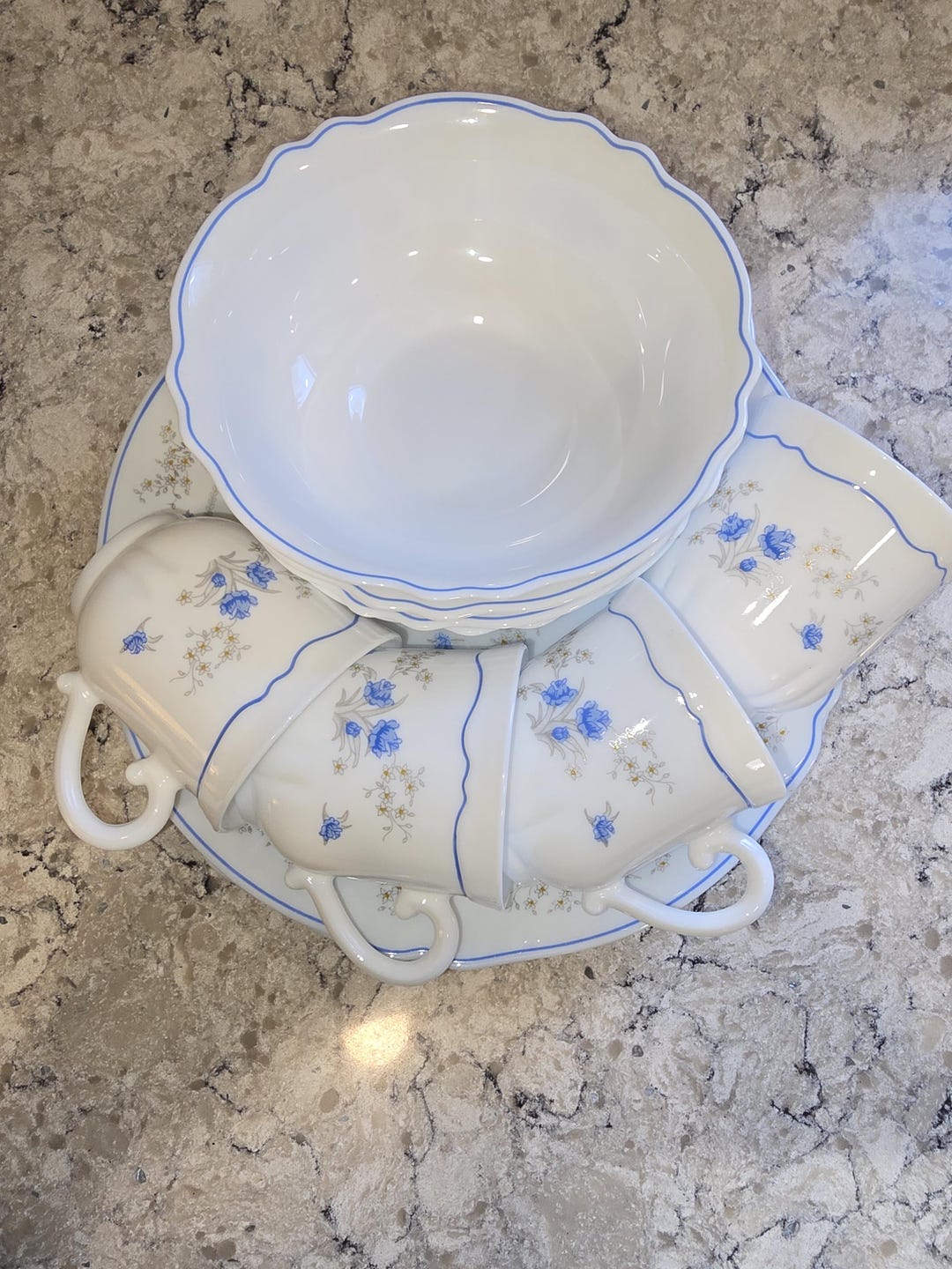 Vintage 12 Piece Arcopal France Romantique Dinner Plates, Bowls, and ...