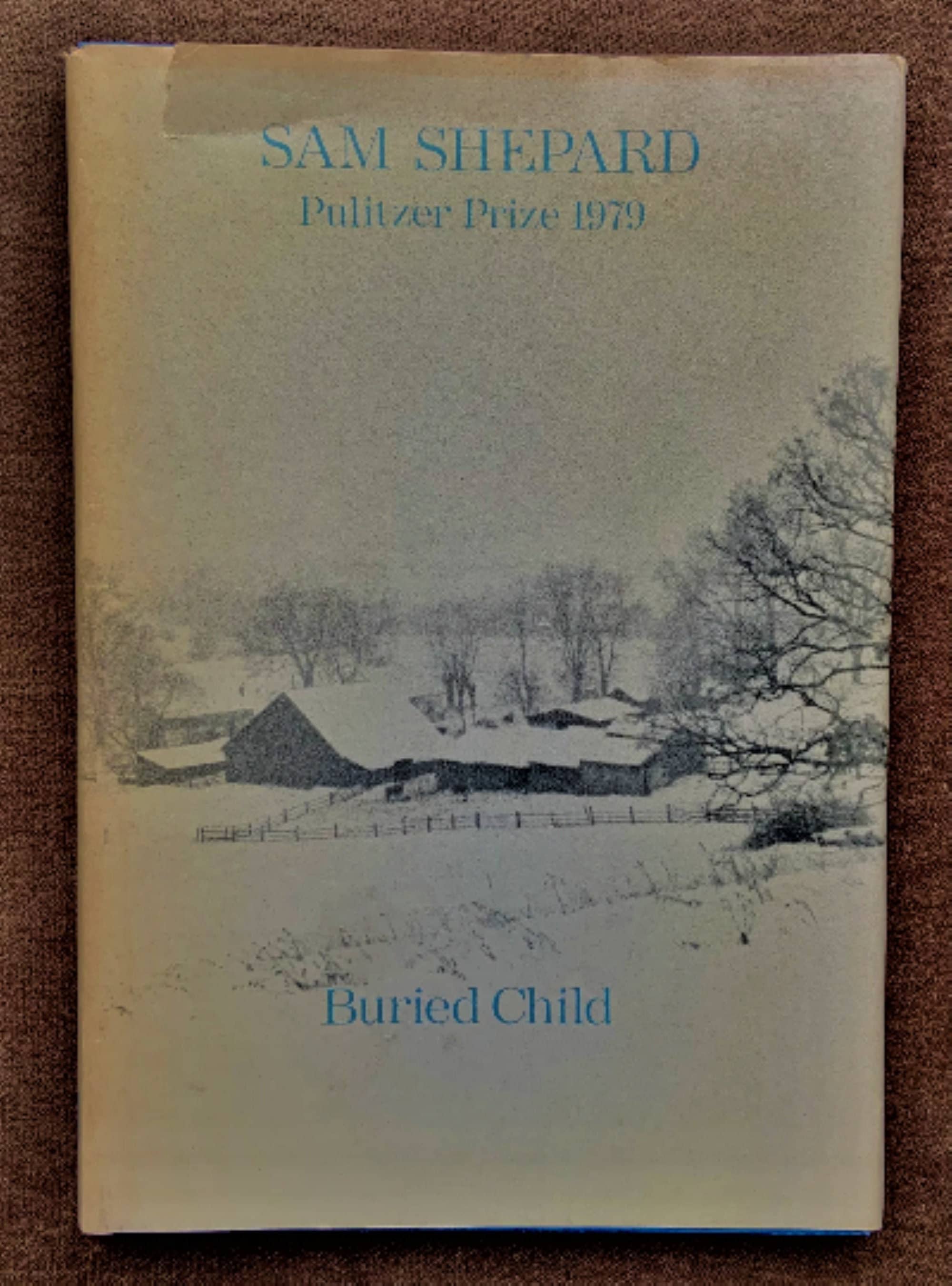 Sam Shepard Children