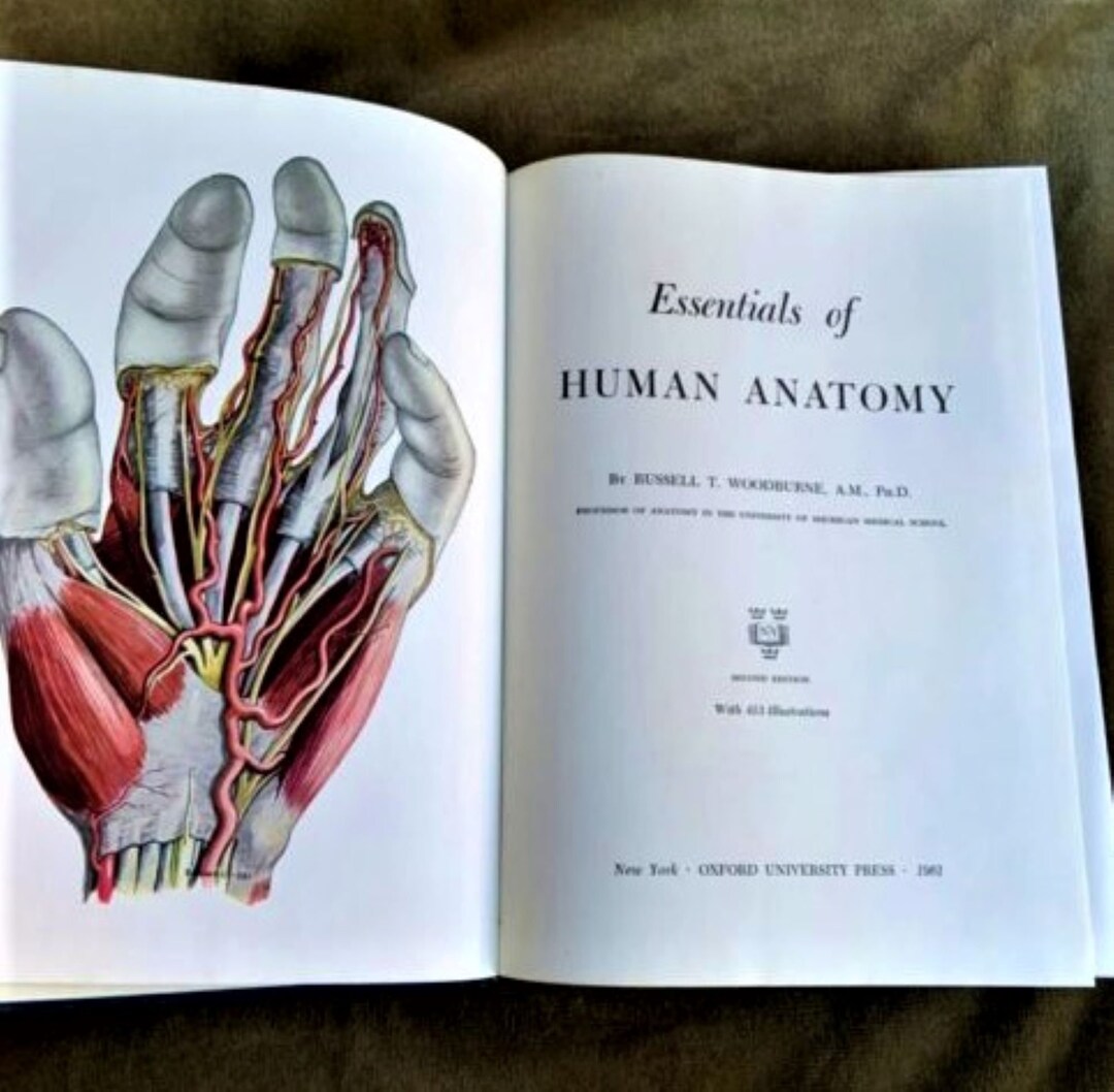 Essential of Human Anatomy by Russell T. Woodburne (1962) - Etsy