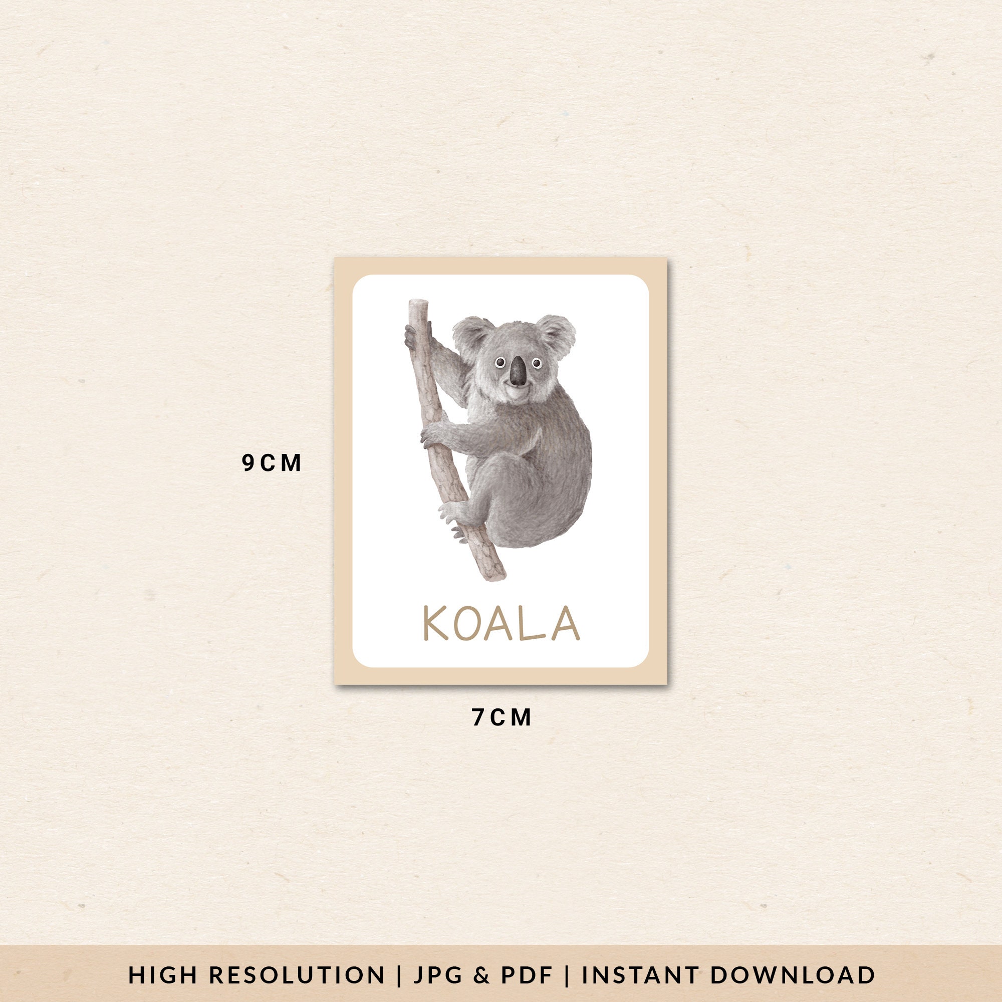 Australian Animals Flash Cards, Education, Classroom Resources, Neutral ...