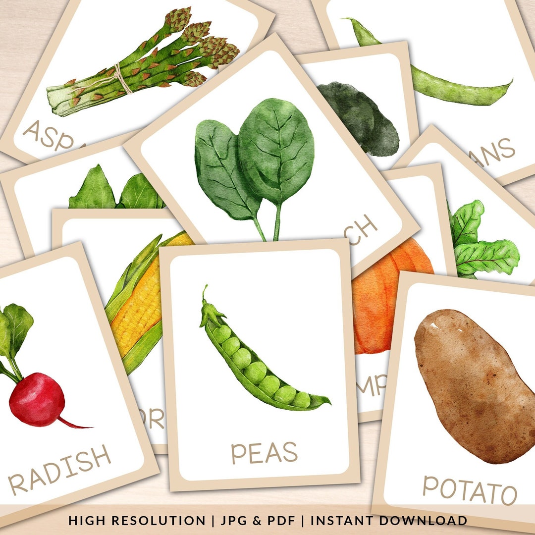 Vegetables Flash Cards, Education, Classroom Resources, Neutral Color ...