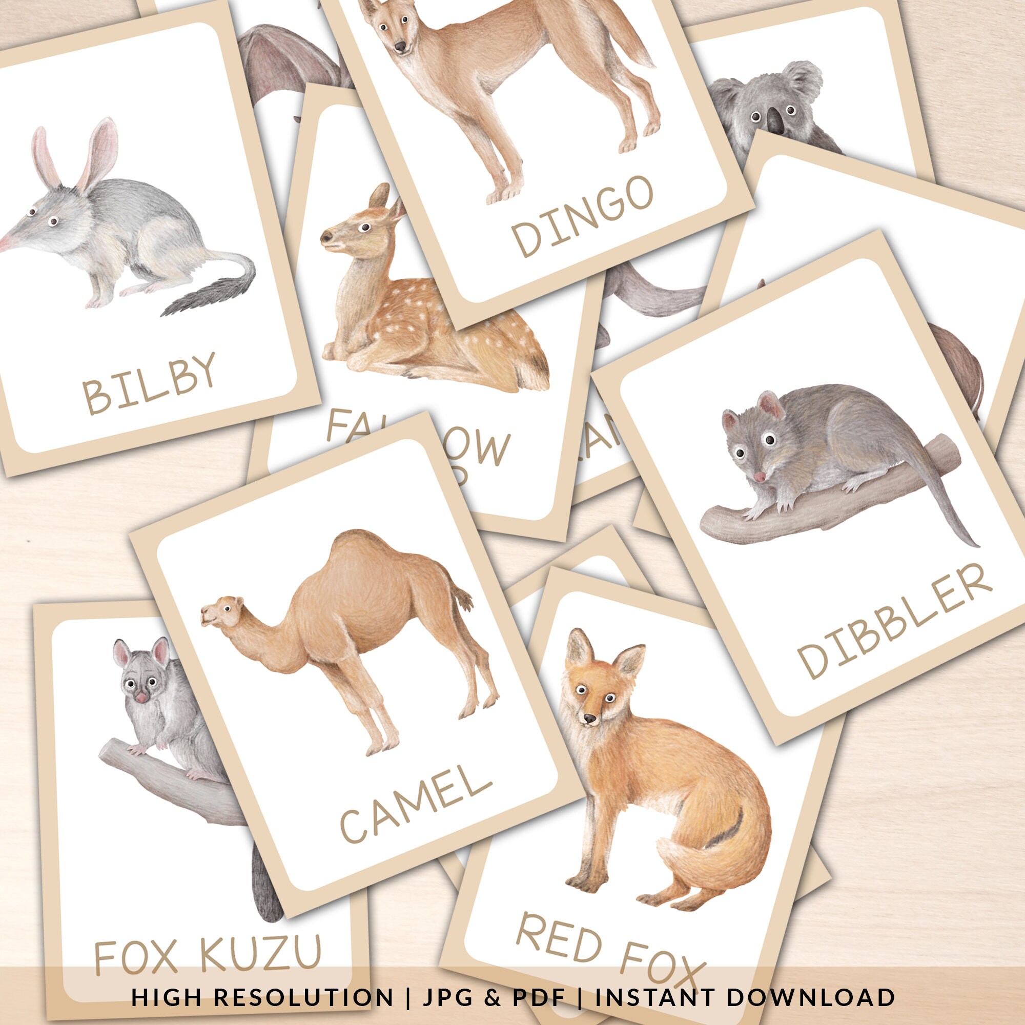 Australian Animals Flash Cards, Education, Classroom Resources, Neutral ...