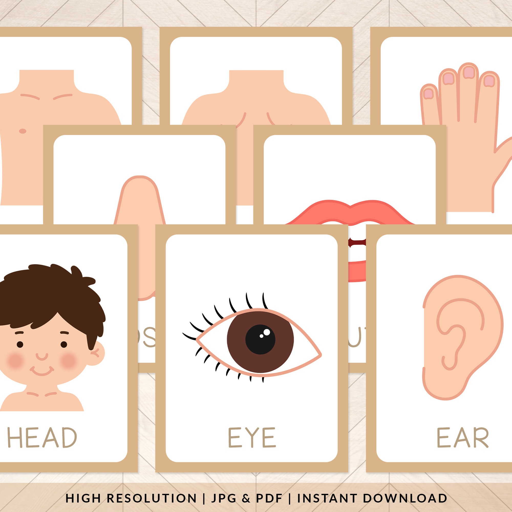 Body Parts Flash Cards Education Classroom Resources - Etsy