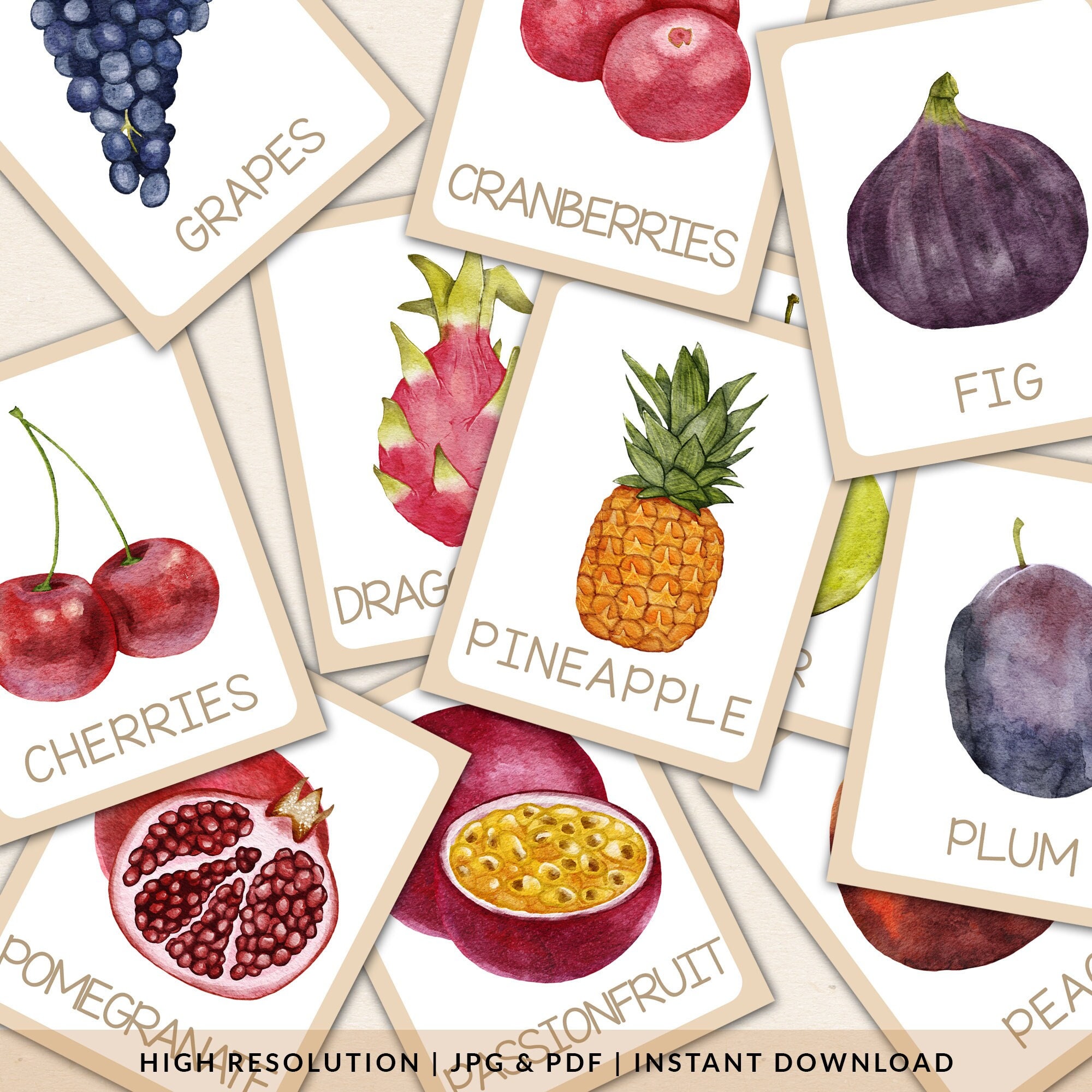 Fruits Flash Cards, Education, Classroom Resources, Neutral Color ...