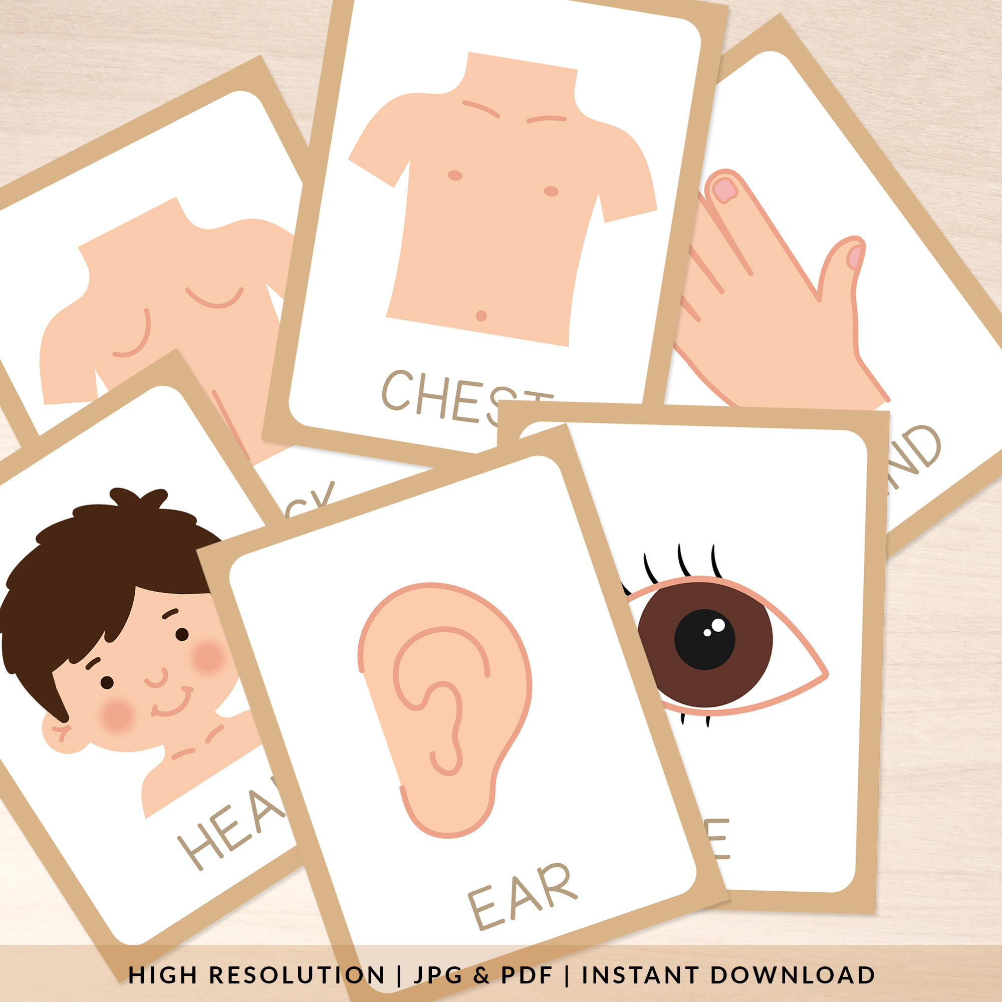 Body Parts Flash Cards Education Classroom Resources - Etsy
