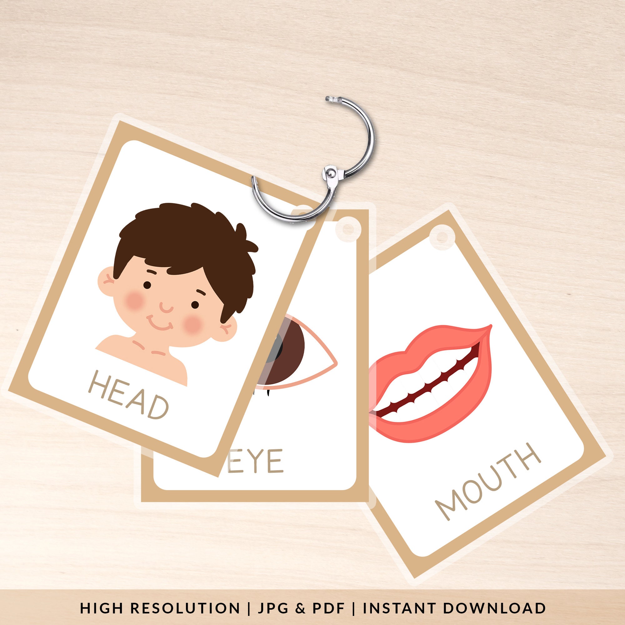 Body Parts Flash Cards Education Classroom Resources - Etsy