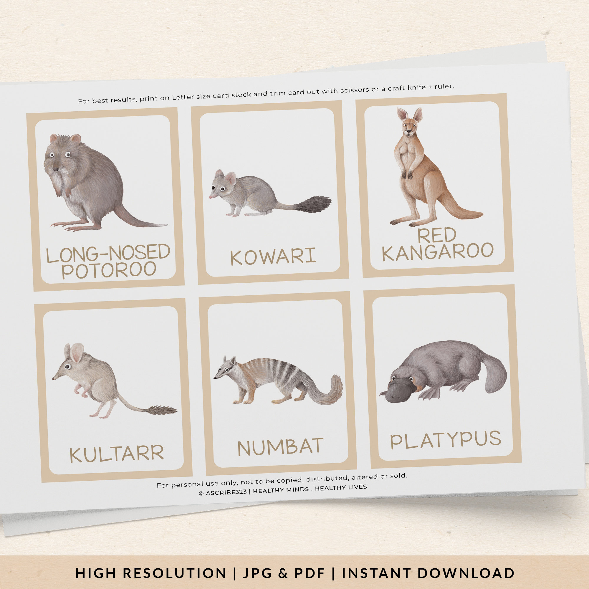 Australian Animals Flash Cards, Education, Classroom Resources, Neutral ...