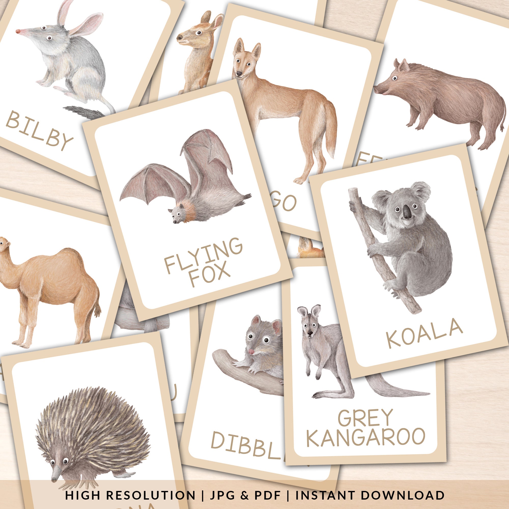 Australian Animals Flash Cards, Education, Classroom Resources, Neutral ...