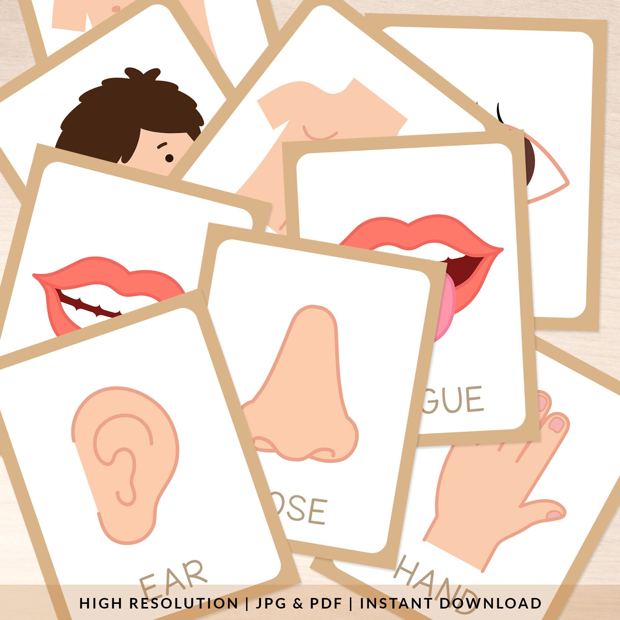 Body Parts Flash Cards Education Classroom Resources - Etsy