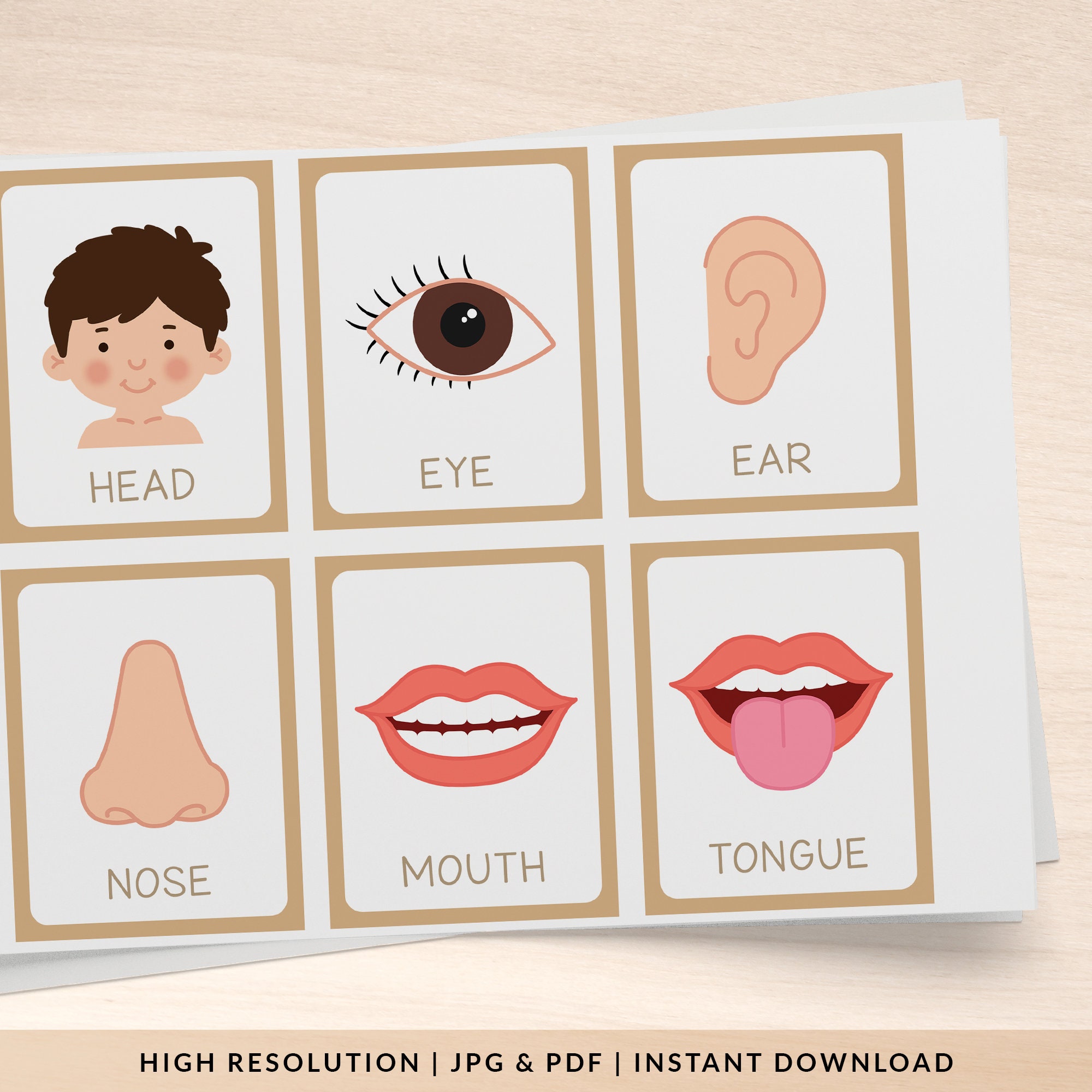 Body Parts Flash Cards Education Classroom Resources - Etsy