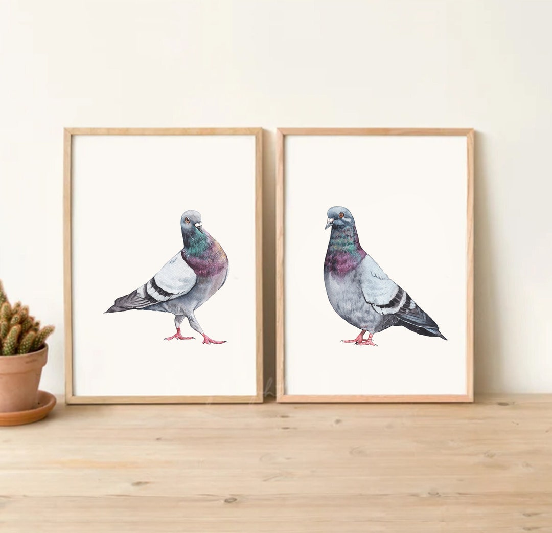 Pigeon Print, Pigeon Painting Png, Pigeon Watercolor Wall Art, Dove Art ...