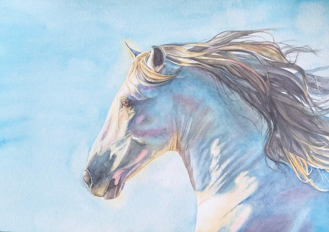 Horse Watercolor Painting, White Horse Painting, Horse Painting ...