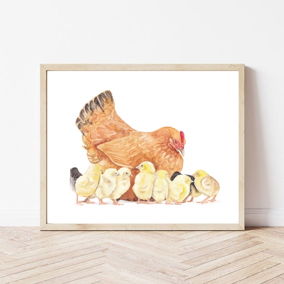 Hens and Chicks Art Baby Chick Print Watercolor Chicks - Etsy