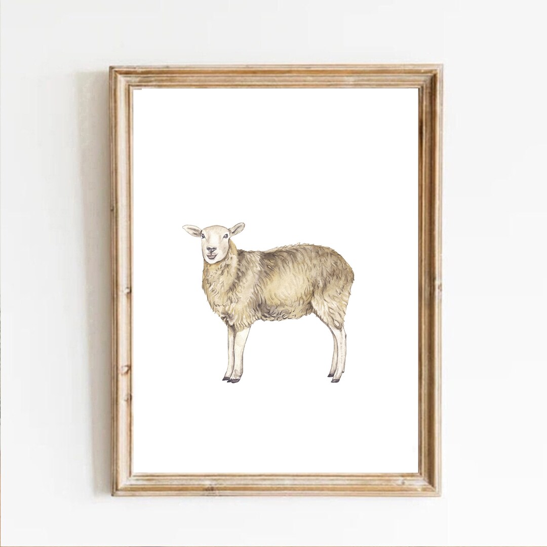 Sheep Print Download Sheep Printable Art Sheep Watercolor Wall Art - Etsy
