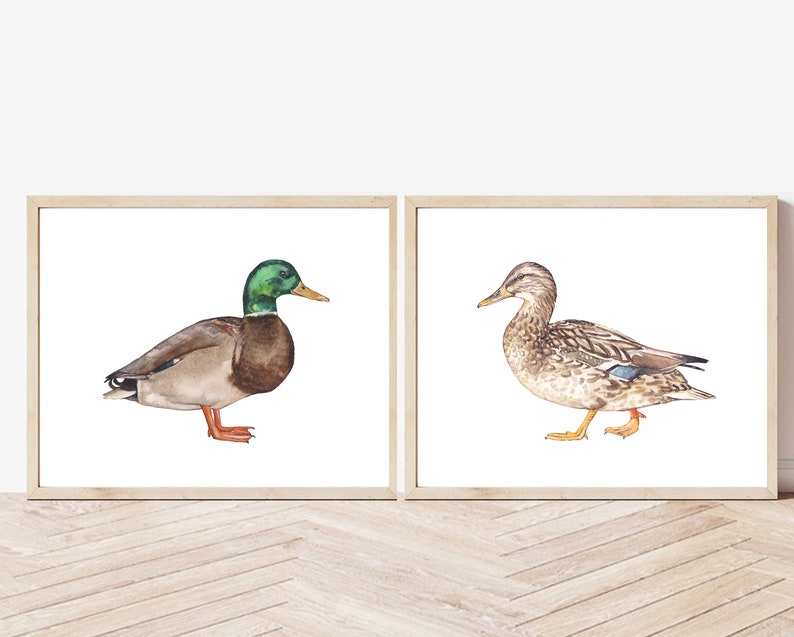 Mallard Duck Print Duck Painting Digital Download Duck Lover - Etsy