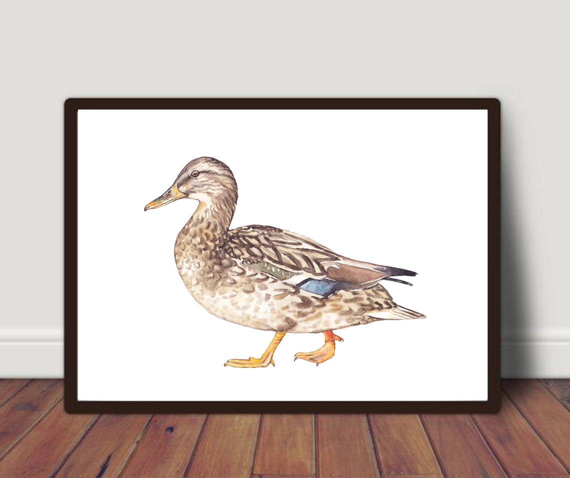 Mallard Duck Print Duck Painting Digital Download Duck Lover - Etsy