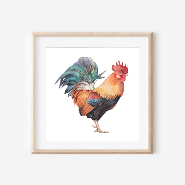 Rooster Prints - Etsy