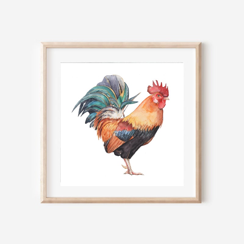 Rooster Prints - Etsy