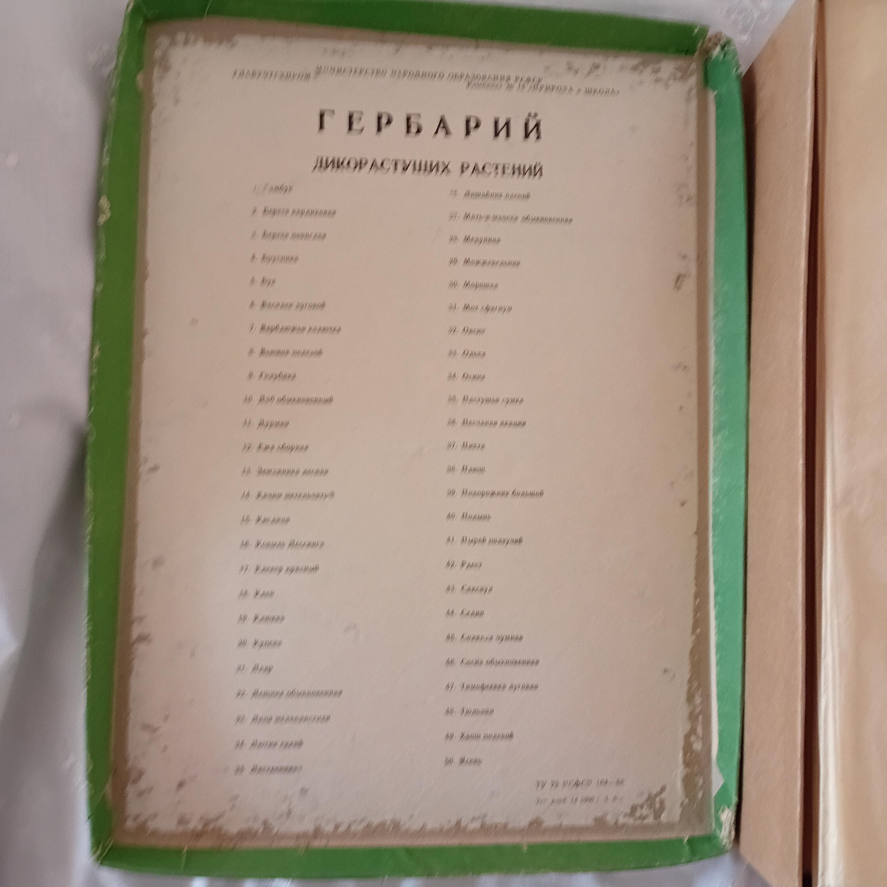 Vintage Herbarium Set of 50 Sheets in a Box - Pressed Botanicals Plants ...