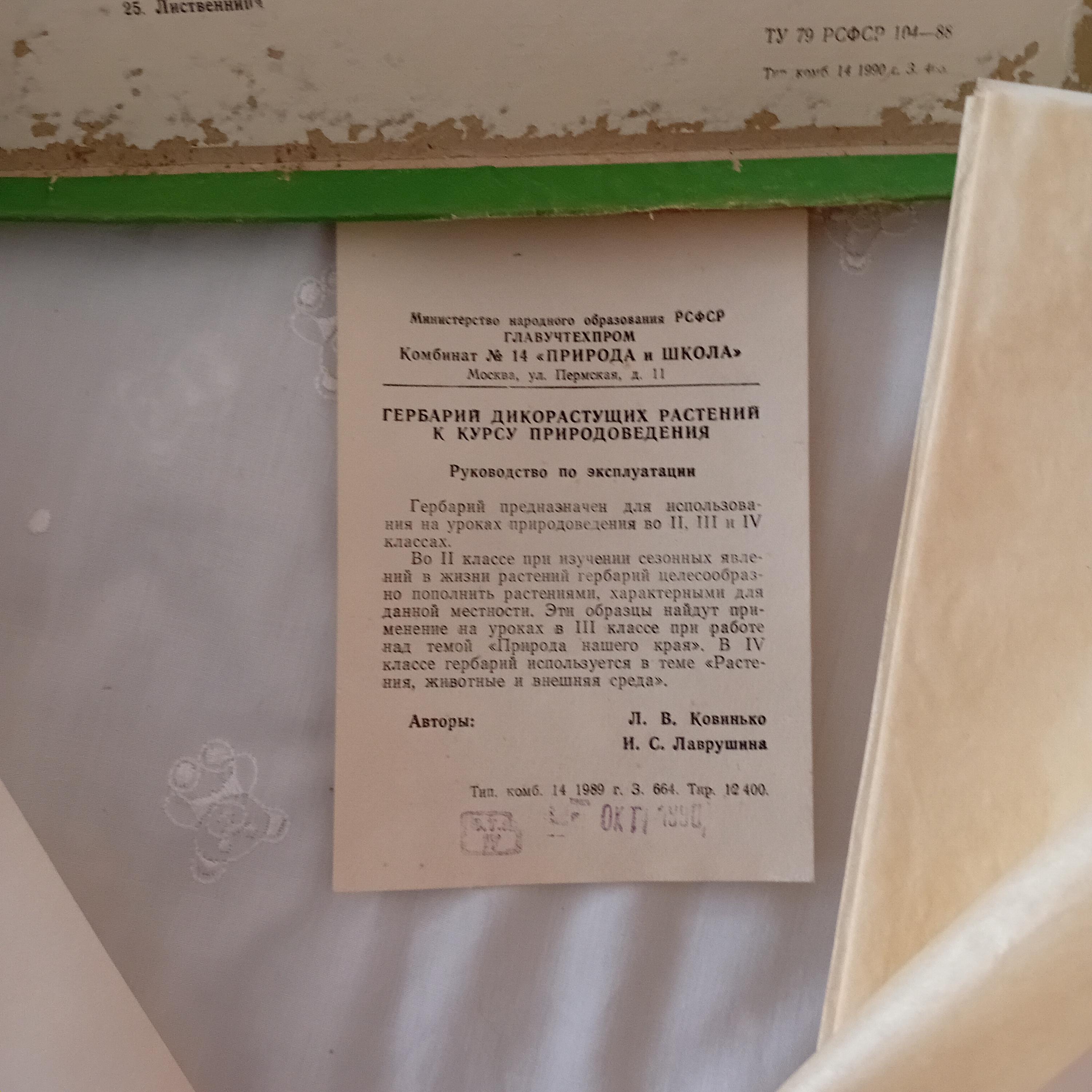 Vintage Herbarium Set of 50 Sheets in a Box - Pressed Botanicals Plants ...